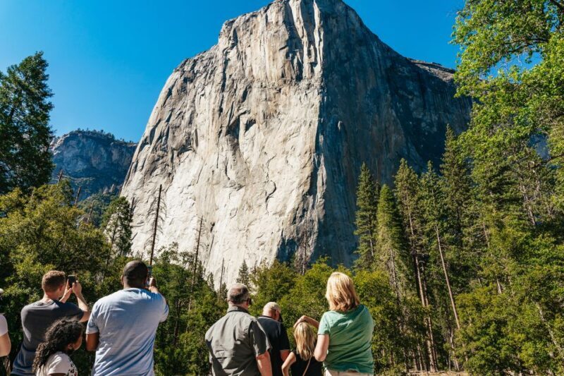 San Francisco: Yosemite National Park & Giant Sequoias Hike - Highlights of the Itinerary