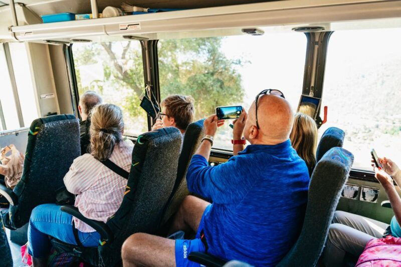 San Francisco: Yosemite National Park & Giant Sequoias Hike - The Value of This Tour
