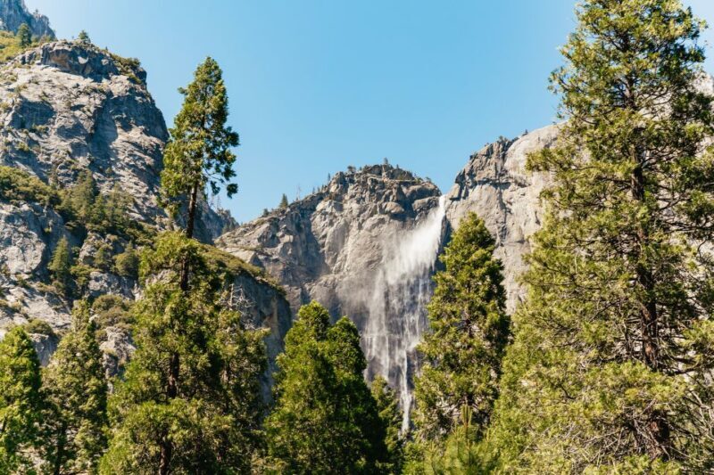 San Francisco: Yosemite National Park & Giant Sequoias Hike - Who Should Consider This Tour?