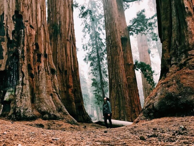 San Francisco: Yosemite Park 2-Day Trip with Accommodation - FAQ