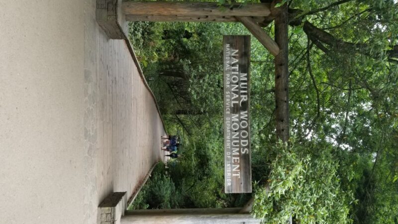 San Fransico: Muir Woods & Marin Headlands Private Tour - An Honest Look at the Value