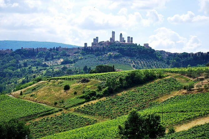 San Gimignano and Chianti Classico Wine and Food PRIVATE TOUR from Florence - Key Points