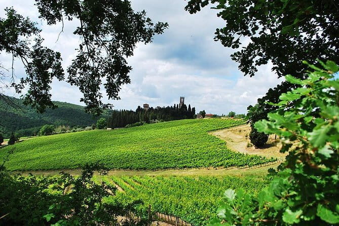 San Gimignano and Chianti Classico Wine and Food PRIVATE TOUR from Florence - Final Thoughts
