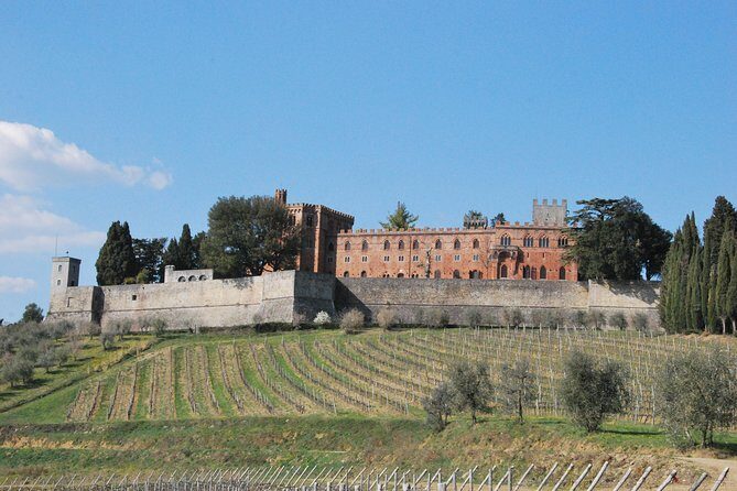 San Gimignano and Chianti Classico Wine and Food PRIVATE TOUR from SIENA - FAQ