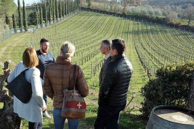 San Gimignano and Vernaccia Wine Tour with Lunch at Farm - Who Will Love This Tour?