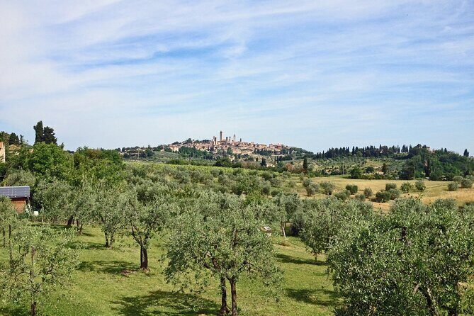 San Gimignano and Winery Experience with Light Lunch from Pisa - Final Thoughts