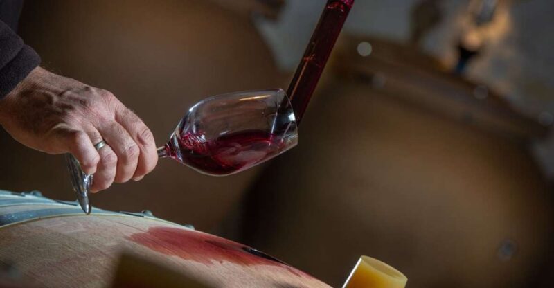 San Gimignano: Barrel Wine Tasting at a Winery - San Gimignano: Barrel Wine Tasting at a Winery – A Practical Guide
