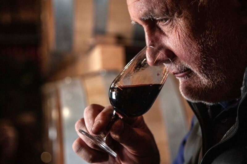 San Gimignano: Barrel Wine Tasting at a Winery - Key Points