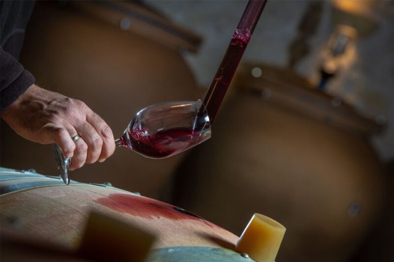 San Gimignano: Barrel Wine Tasting at a Winery - What Makes This Tour Worth It?