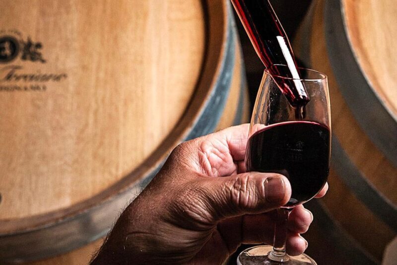 San Gimignano: Barrel Wine Tasting at a Winery - Considerations and Tips
