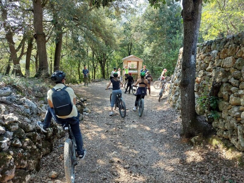 San Gimignano: E-Bike Tour with Tasting - An In-Depth Look at the E-Bike Tour