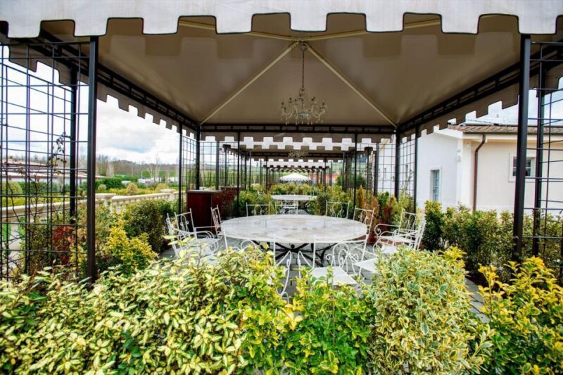 San Gimignano Lunch in terrace with vineyards view - The Sum Up