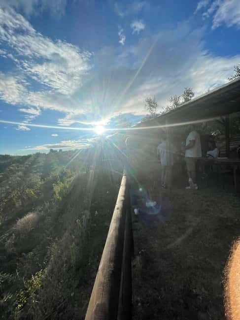 San Gimignano: Nature, Organic Wine and Lightheartedness - FAQ
