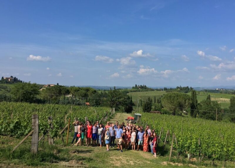 San Gimignano: Premium Wine Tour with Lunch - An In-Depth Look at the Experience