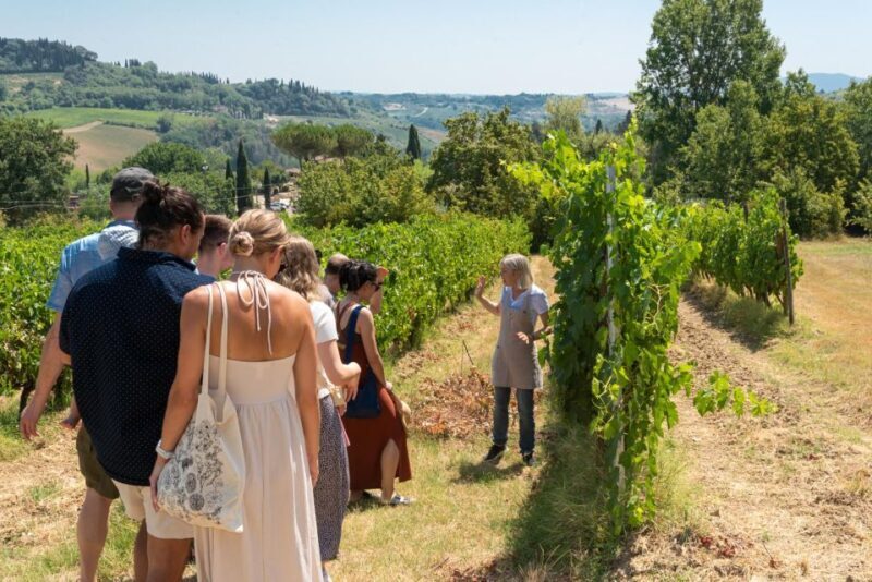 San Gimignano: Premium Wine Tour with Lunch - Why This Tour Offers Great Value