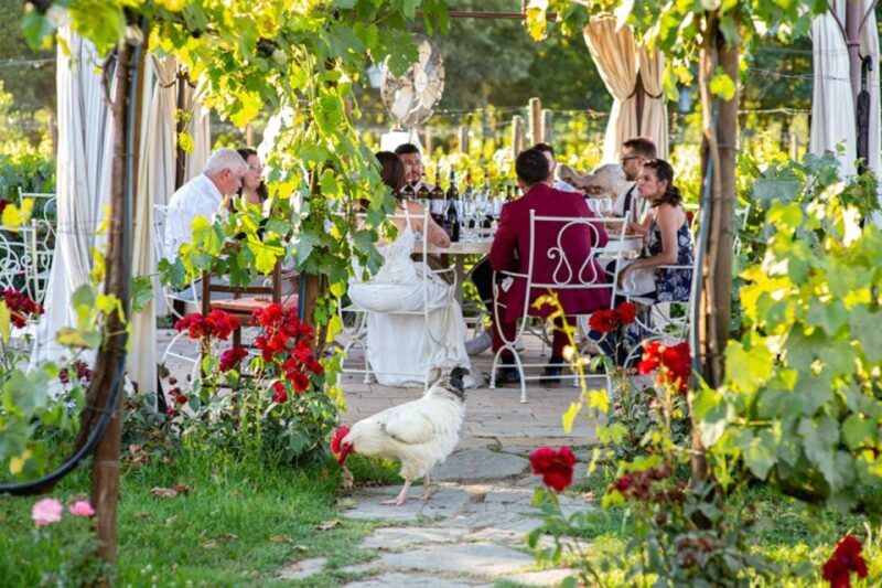 San Gimignano: Private Dinner in Spiral Vineyard and Tasting - The Scenic Setting and Free Time