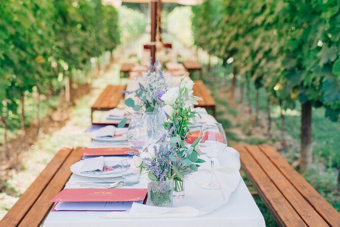 San Gimignano Romantic Dinner in the Vineyards - Key Points