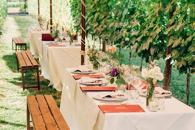 San Gimignano Romantic Dinner in the Vineyards - Final Thoughts: Who Is This Tour Perfect For?