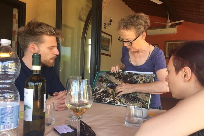 San Gimignano, Saffron and Vernaccia Wine from Florence - What Makes This Tour Stand Out?