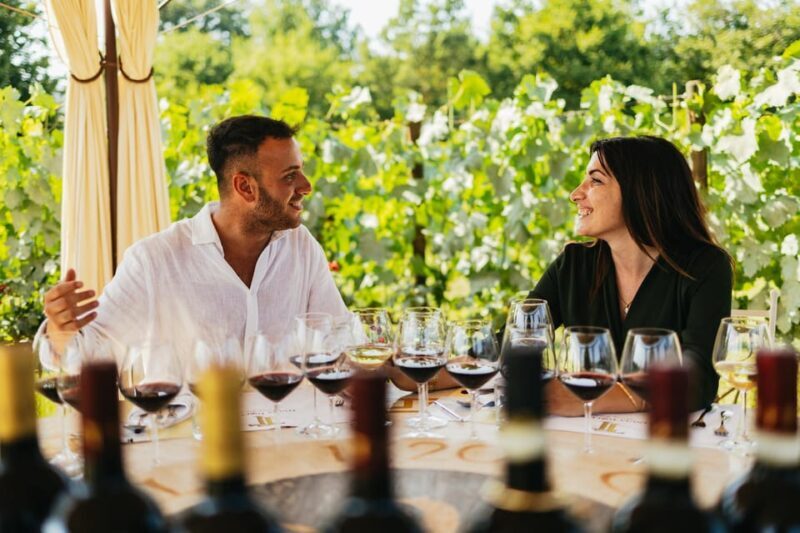 San Gimignano: Tuscan Vineyard Lunch with Wine Tasting - An In-Depth Look at the Experience