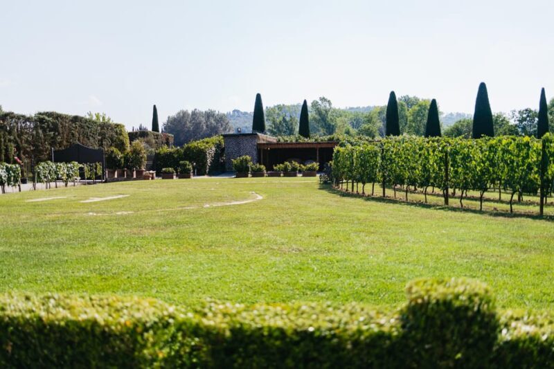San Gimignano: Tuscan Vineyard Lunch with Wine Tasting - Final Thoughts