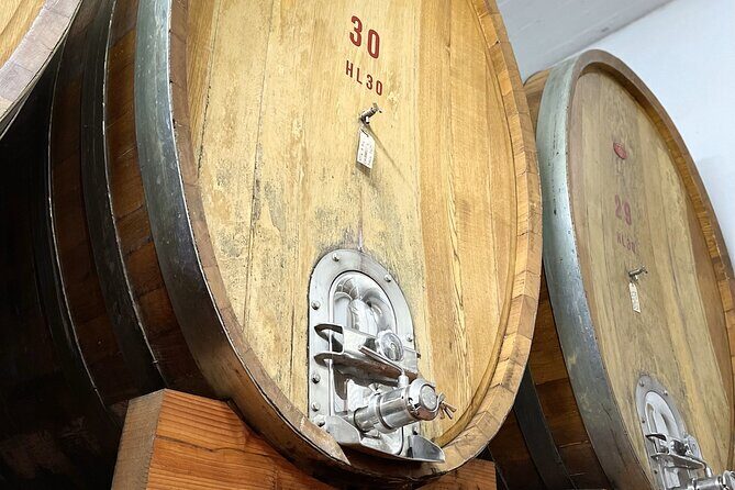 San Gimignano: Vineyard and Cellar Tour with Wine Tasting - Frequently Asked Questions