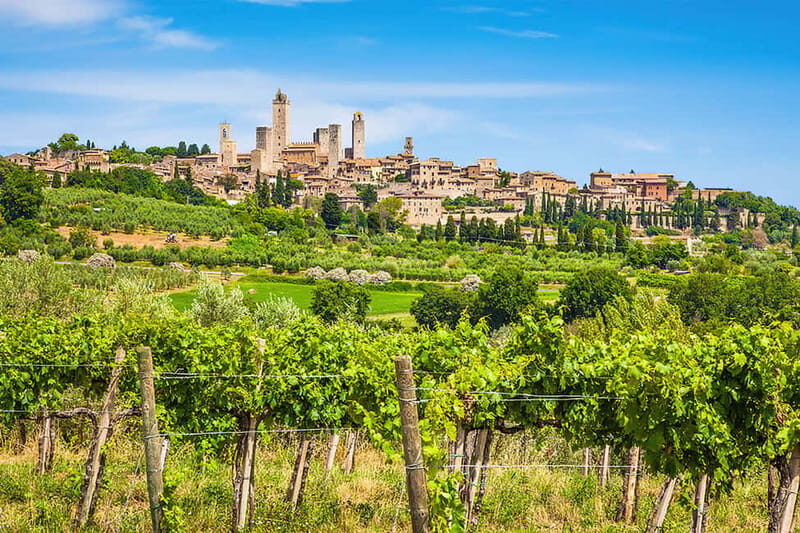 San Gimignano: Wine and Oil Tasting with Tuscan Appetizers - The Details: How It Fits into Your Trip