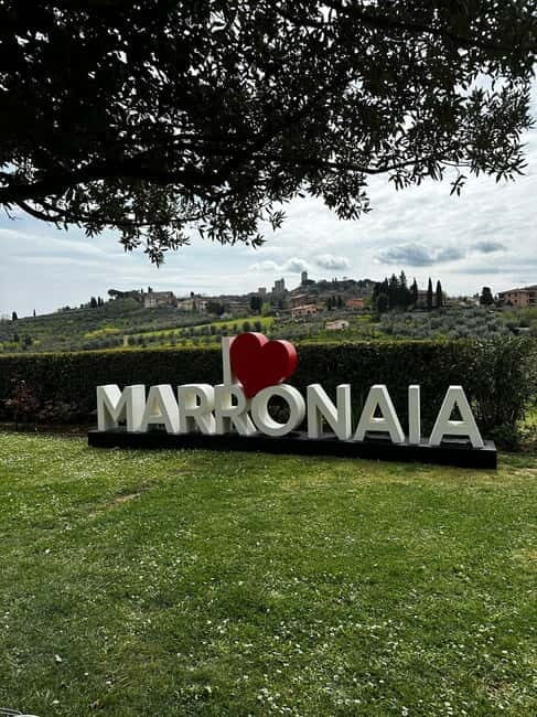 San Gimignano: Wine, Oil, Cheese & Balsamic Tasting - Key Points