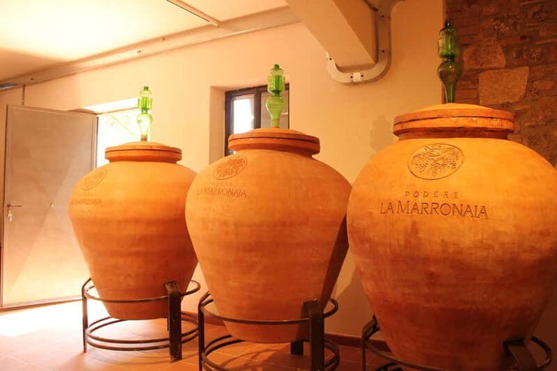 San Gimignano: Wine, Oil, Cheese & Balsamic Tasting - What to Expect During the Tour