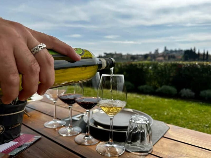 San Gimignano: Wine, Oil, Cheese & Balsamic Tasting - Pricing and Duration