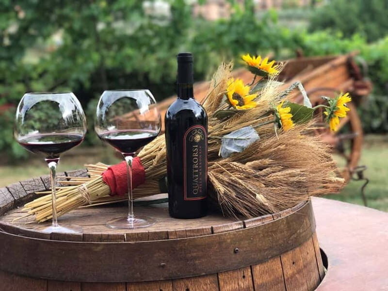 San Gimignano: Wine, Olive oil & Balamic Vinegar Tasting - An In-Depth Look at the Experience
