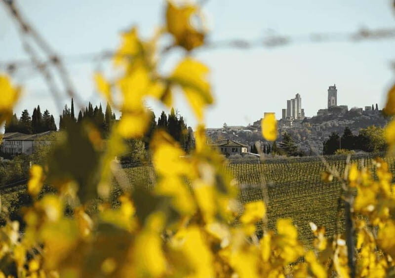 San Gimignano: Wine Tasting Experience at Il Colombaio - Whats Included and How It Works