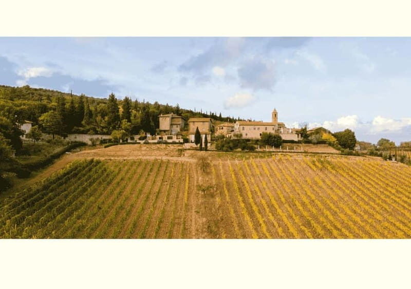 San Gimignano: Wine Tasting Experience at Il Colombaio - The Taste Experience