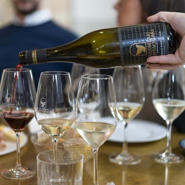 San Gimignano: Wine Tasting Experience at Il Colombaio - Who Will Enjoy This?