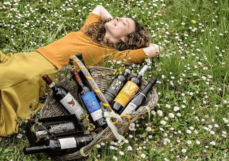 San Gimignano: Wine Tasting Experience at Il Colombaio - Final Thoughts: Who Is This Tour Perfect For?