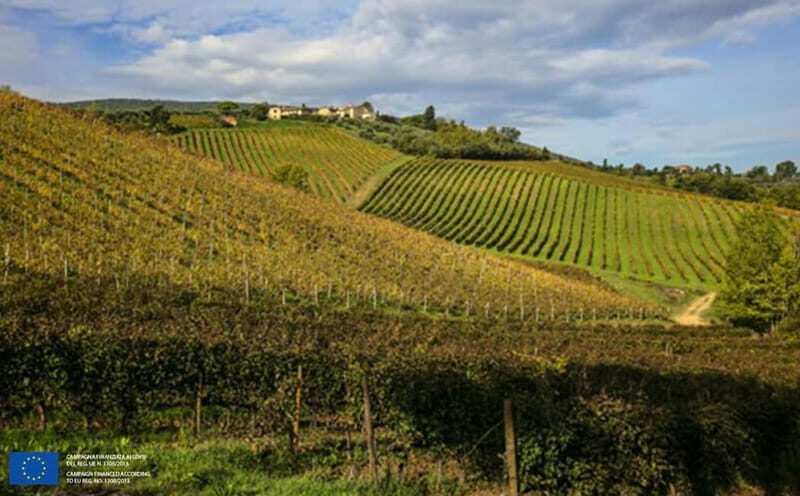 "San Gimignano" Wine Tasting - Palagetto winery - Considerations: Price and Additional Options