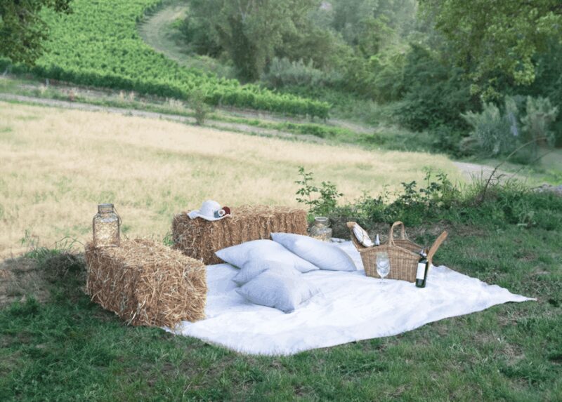 San Gimignano: Wine Tasting with Aperitivo in the Vineyard - Key Points