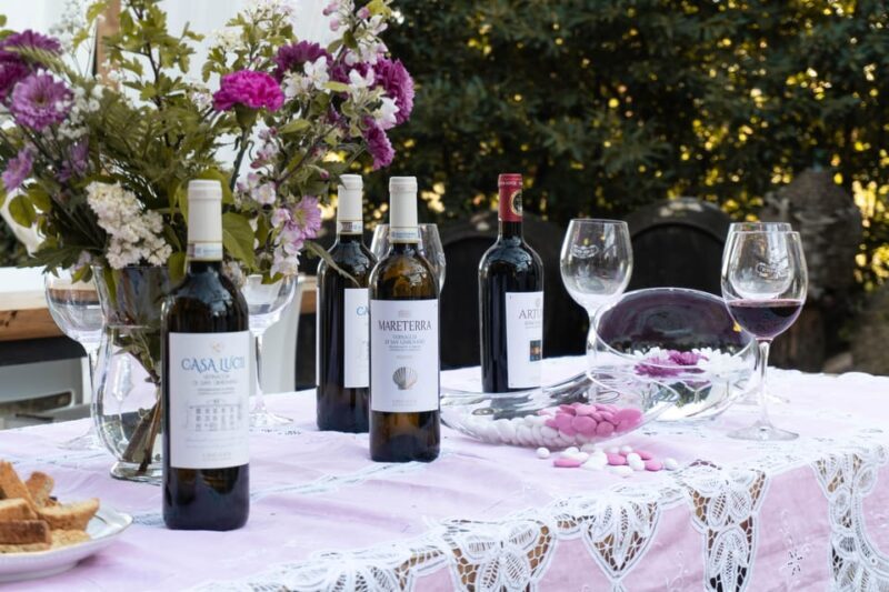 San Gimignano: Wine Tasting with Aperitivo in the Vineyard - Who Will Love This Experience?