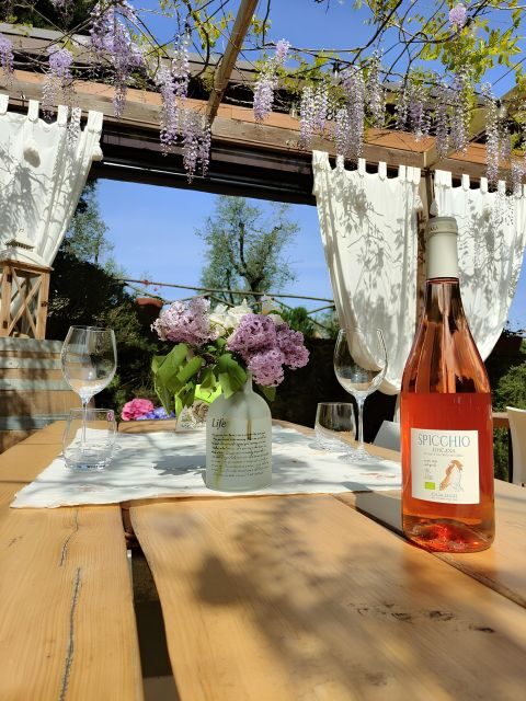 San Gimignano: Wine Tasting with Food Pairing - What to Expect During the Tour