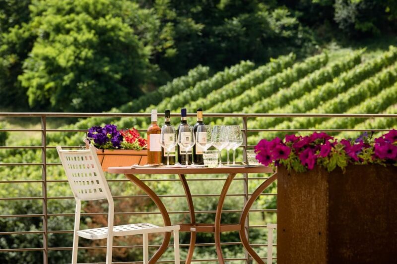 San Gimignano: Winery Visit with Picnic in Olive Grove - A Tour That Celebrates Tuscanys Flavors and Scenery