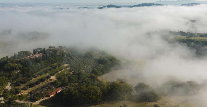 San Gregorio Tasting - Frequently Asked Questions