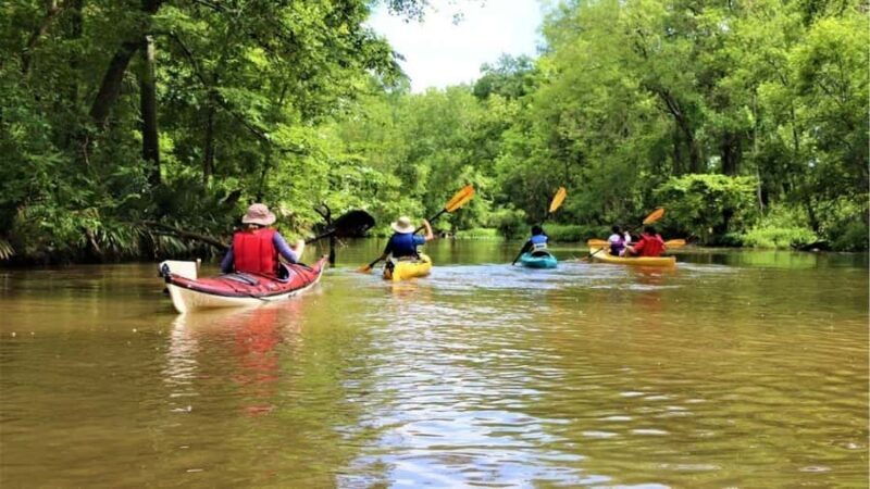 San Jacinto River | Stream Geomorphology Field Trip - Key Points