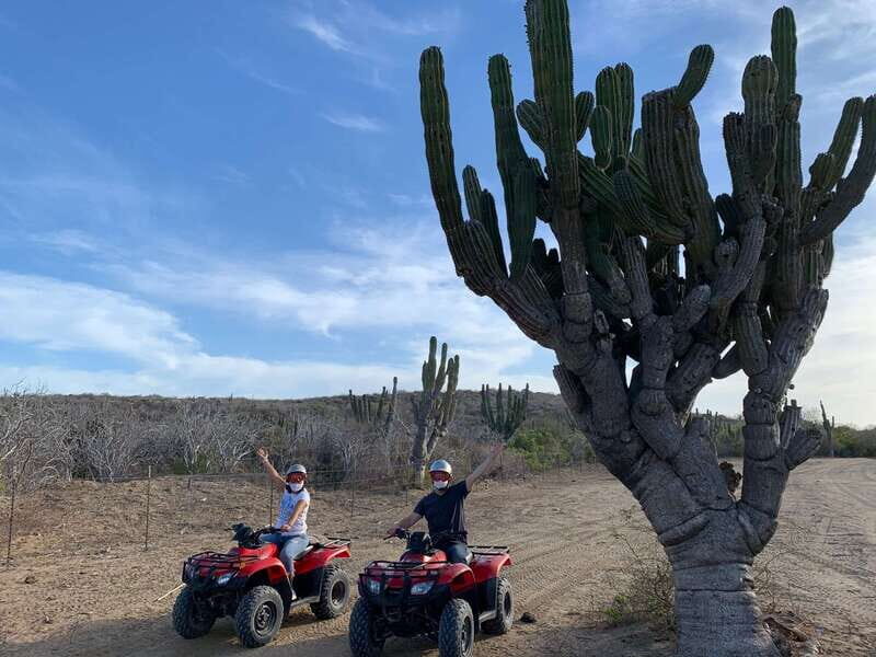 San José del Cabo: 2-Hour ATV Tour - Key Points