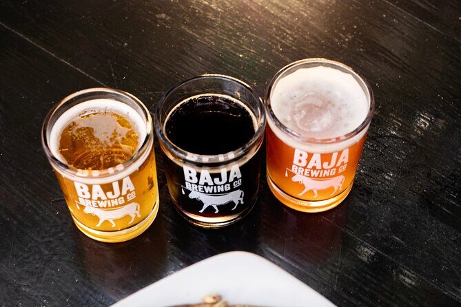 San Jose del Cabo Art Walk, Beer Tasting &Chocolate Demonstration - Who Should Consider This Tour?