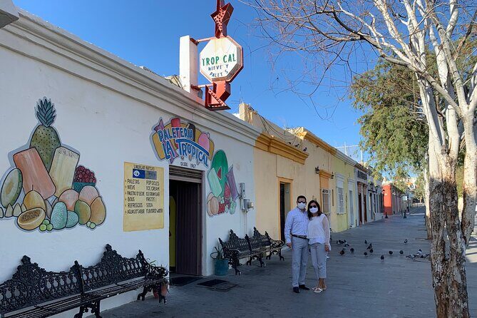 San Jose del Cabo Historic District Walking Tour - Making the Most of Your Experience