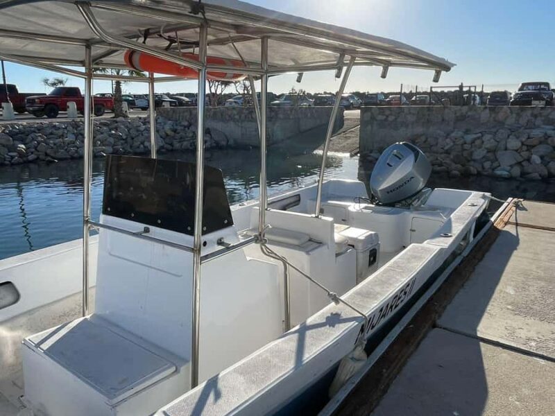 San José del Cabo: Private Fishing - Who Will Love This Tour?