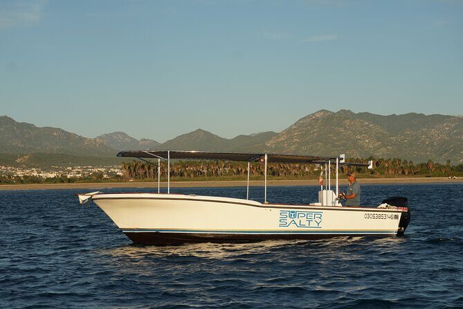 San Jose del Cabo Small-Group Sunrise Whale Watching - The Itinerary and What to Expect