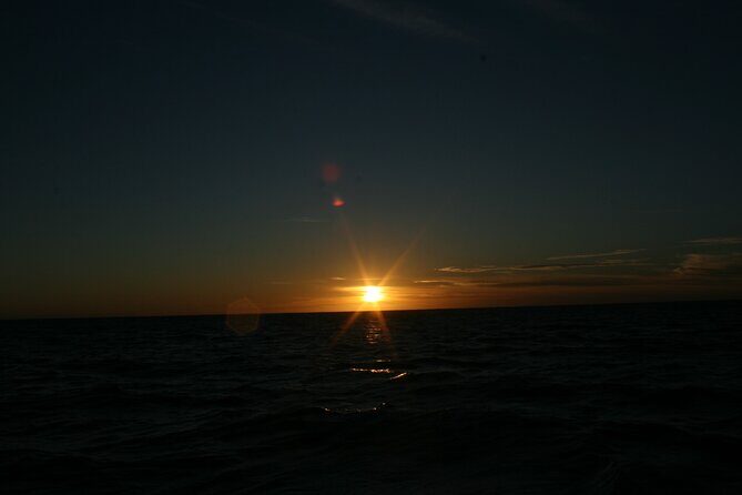 San Jose del Cabo Small-Group Sunrise Whale Watching - The Sum Up: Who Should Consider This Tour?