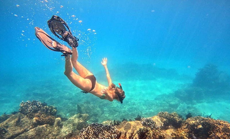 San Jose del Cabo Snorkeling Tour - Introduction