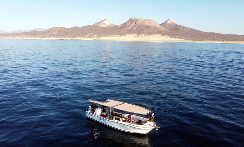 San Jose del Cabo Snorkeling Tour - What Travelers Say